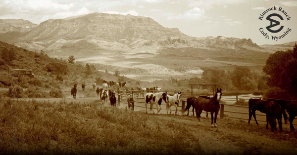 Family Dude Guest Ranch Vacations in Wyoming near Yellowstone | Rimrock ...